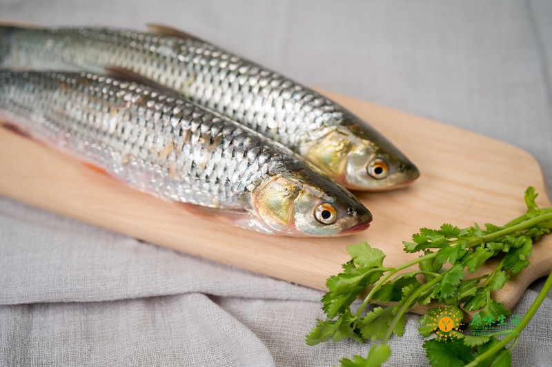 江水野生红眼鱼 - 江水类 - 原味生活