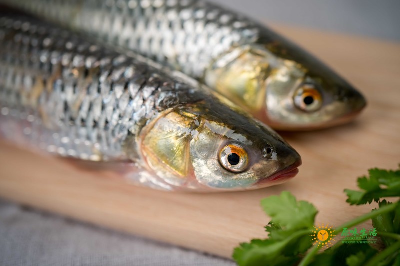 江水野生红眼鱼 - 江水类 - 原味生活